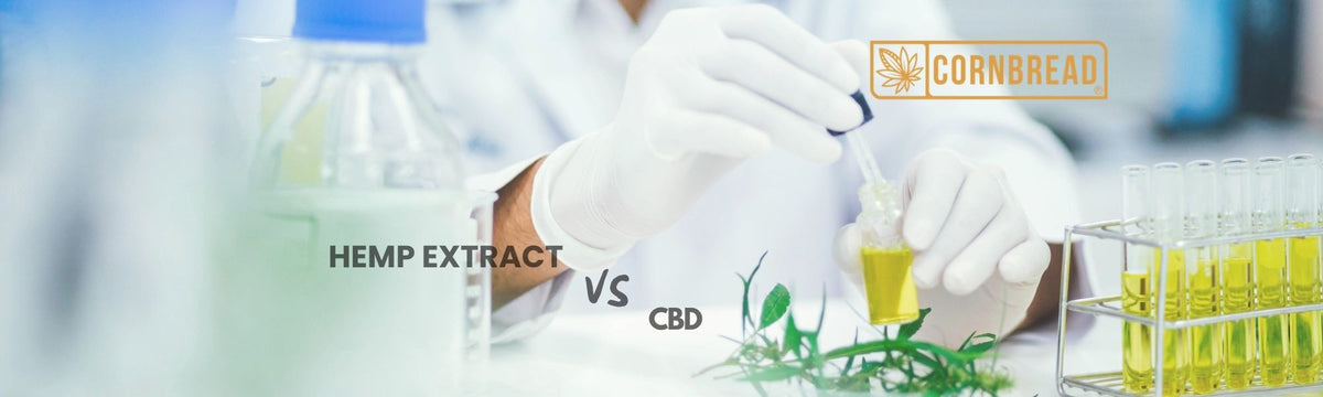 Hemp Extract vs CBD – Cornbread Hemp®